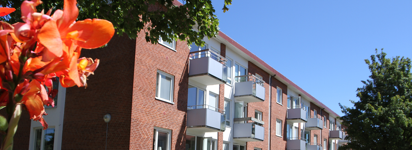 Välkommen hem till Björnbäret | Eidar.se